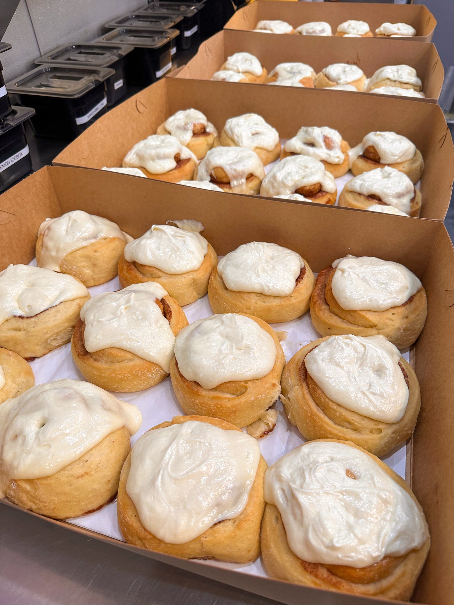 Old Skool Rolls By The Dozen | Cinnaholic Corona